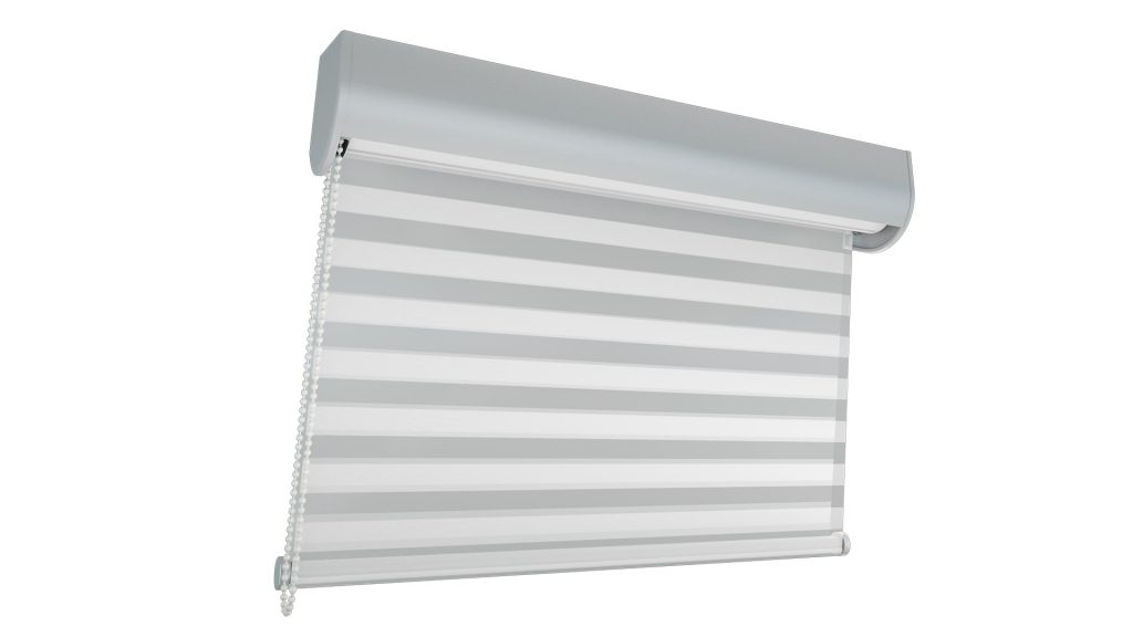 Coulisse Double Roller Blinds - windowfashionsdepot.com
